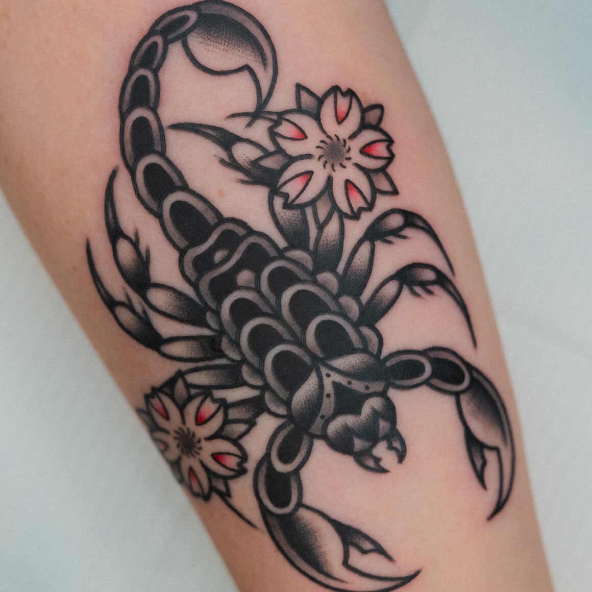 American Traditional Scorpion Tattoo - GOOD TIMES INK